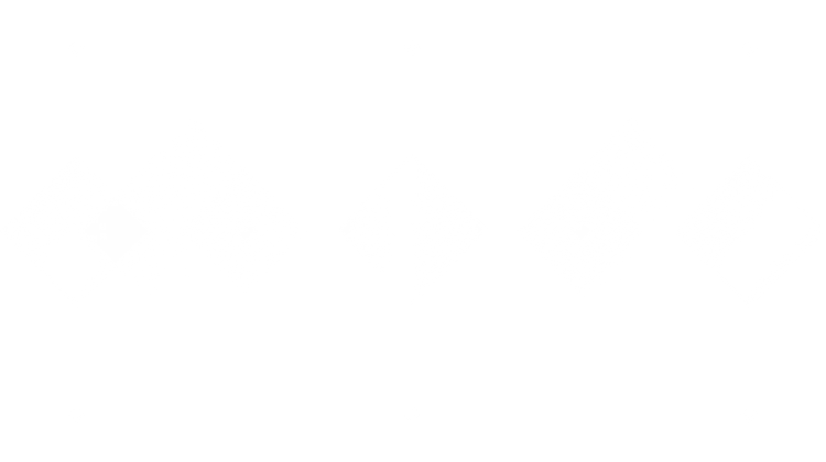 Exodus Security | Secure Self-Custody Wallet